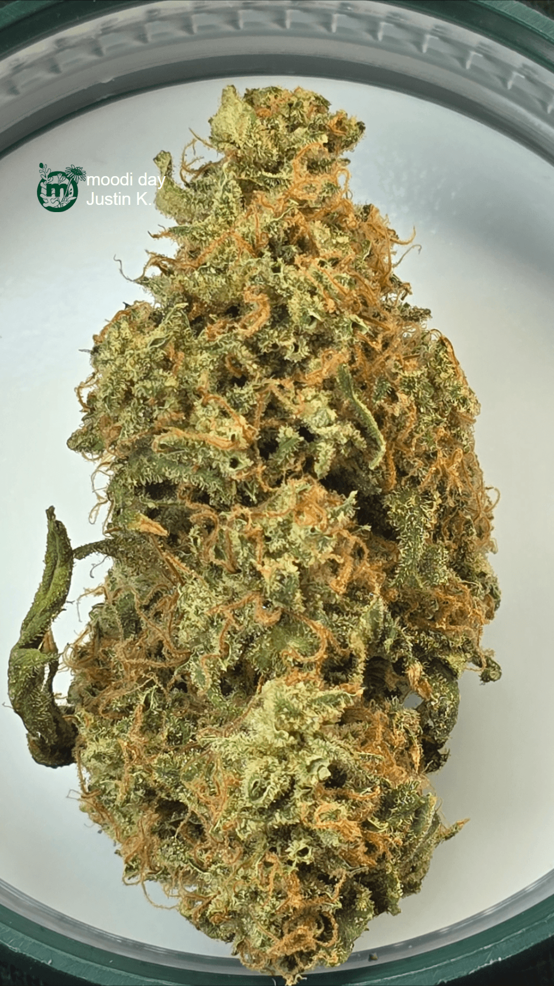 Grassroots Novarine Flower Review by Justin K. | Real Reviews of ...