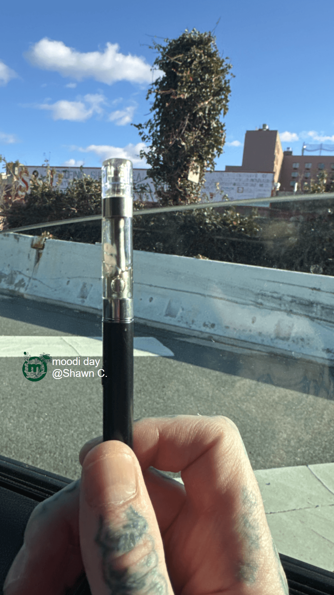 Select Brazzy Kush ACE Cartridge Review by Shawn C. | Real Consumer ...